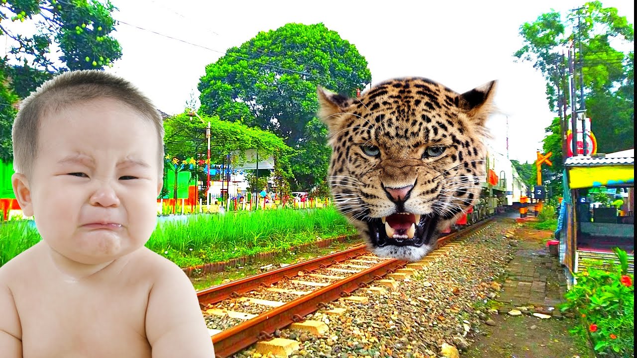 Jaguar On The Train?where iş he going? 😂😱 @funnyworldoftrains7678 - YouTube