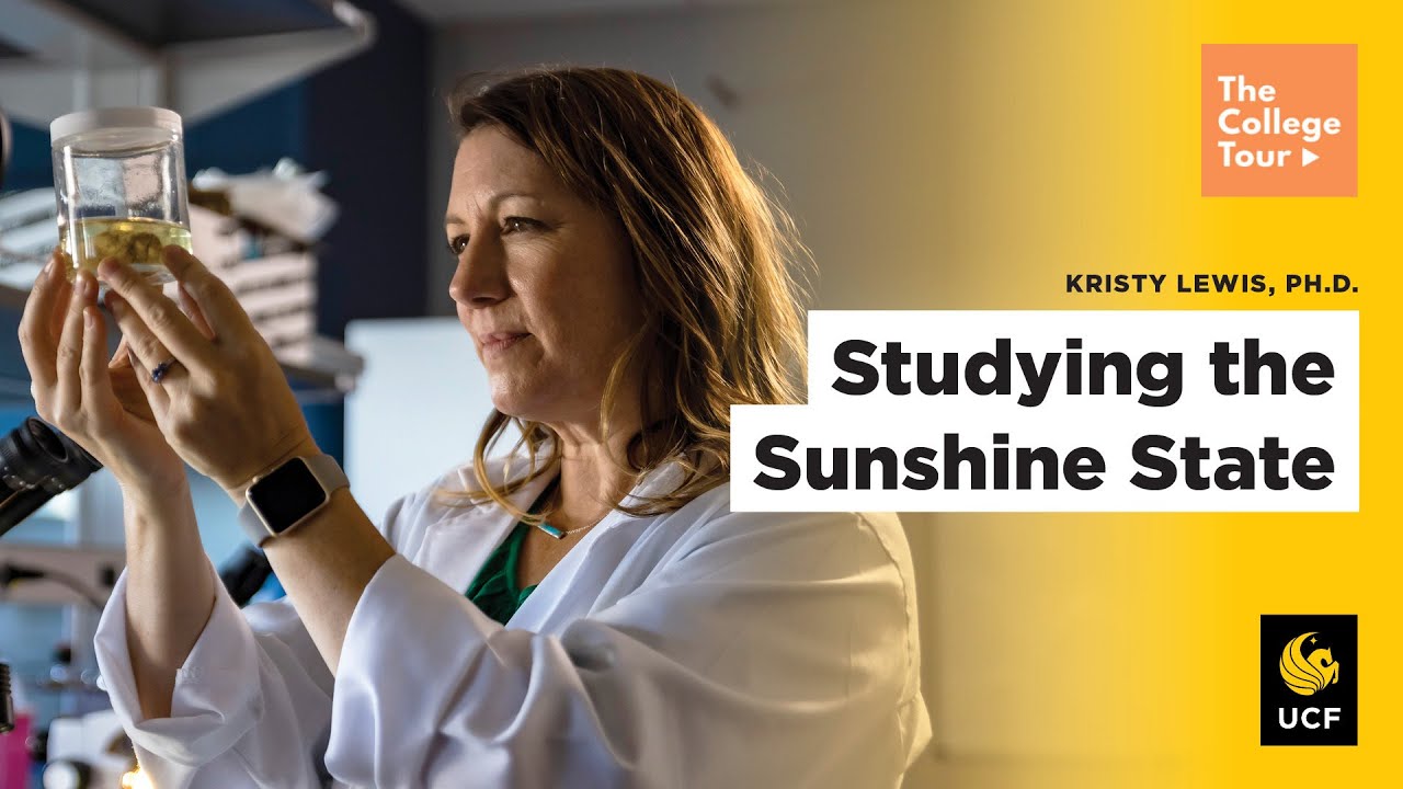 Studying the Sunshine State | The College Tour - YouTube