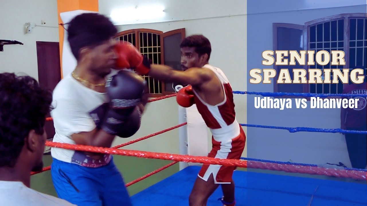 Senior Sparring Session | Sparring | Box & Cross Boxing Gym ...