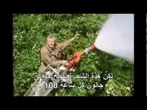 ظاهرة النتح