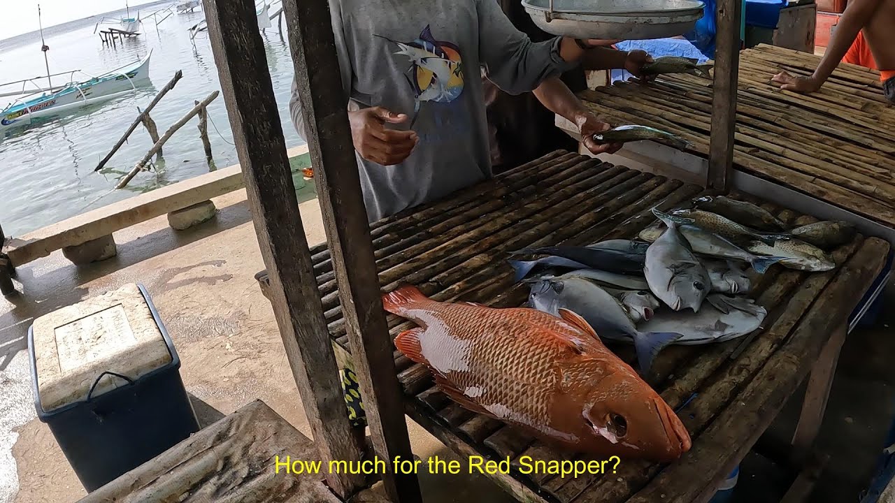 Guiuan Eastern Samar Visiting friends, Sulangan church and buying ...