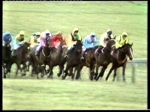 1985 Ritz Club National Hunt Handicap Chase