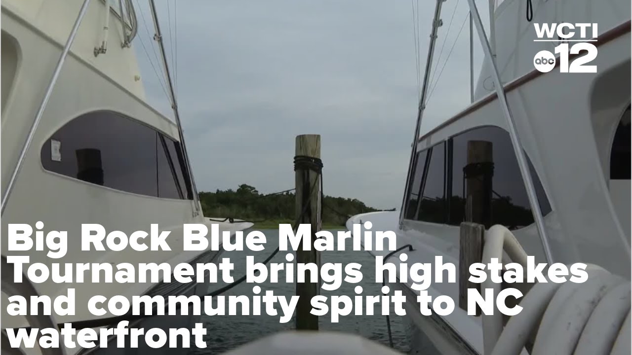 Big Rock Blue Marlin Tournament brings high stakes and community spirit ...