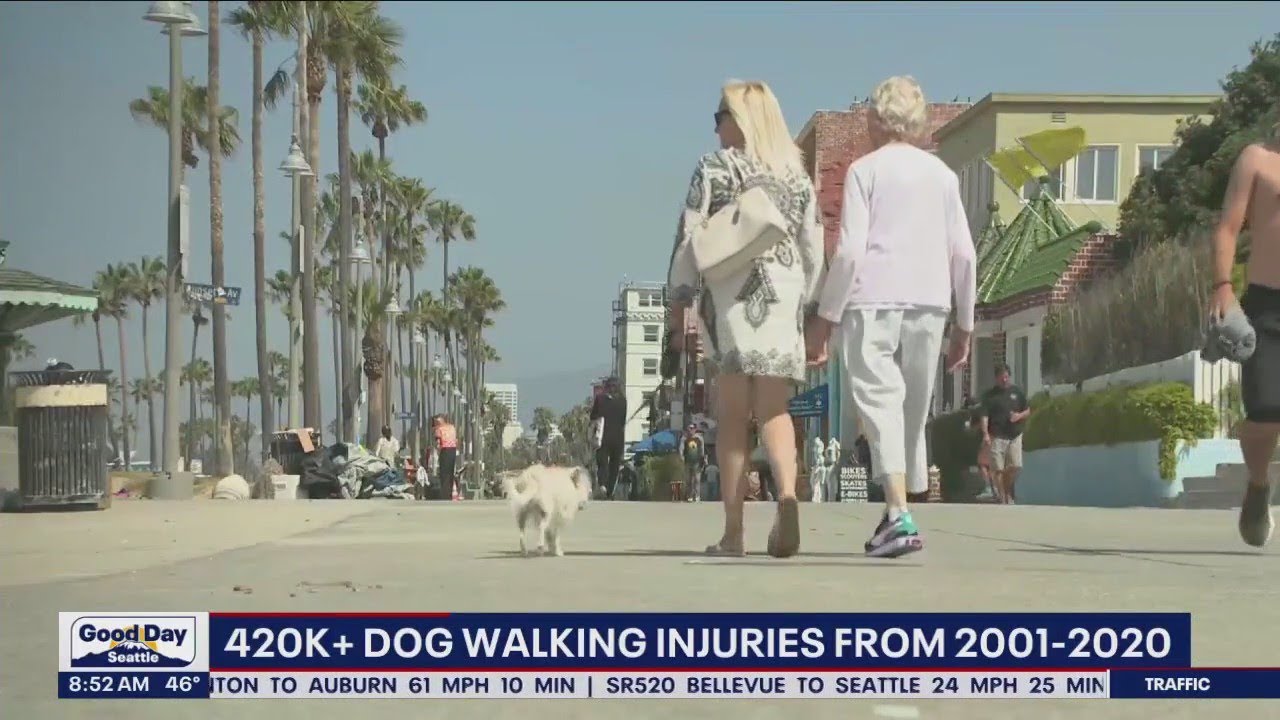420,000+ dog walking injuries from 2001-2020 - YouTube