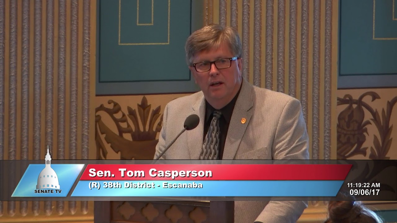 Sen. Casperson discusses breakwalls at the Michigan Senate - YouTube