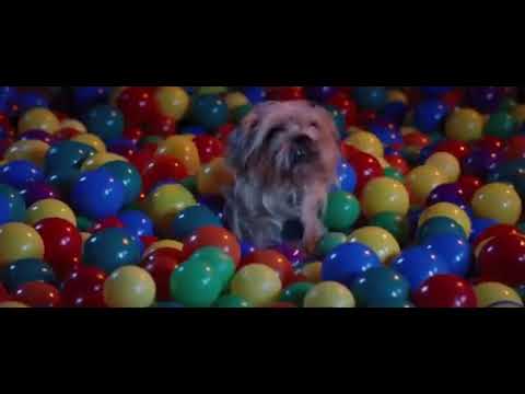 The Powerpuff Girls SpongeBob SquarePants Power Hour (2008) Fish Are ...