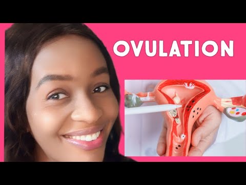How long does OVULATION last / Ovulation days after period - YouTube