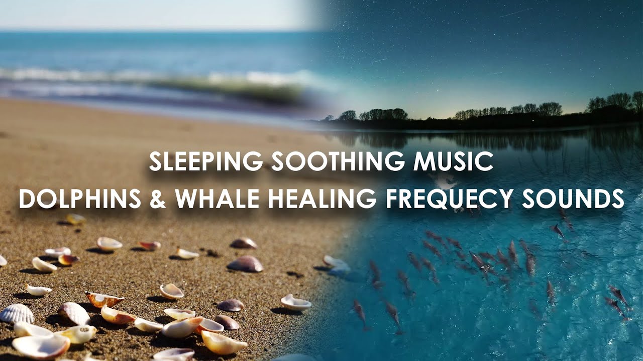 SLEEPING MUSIC SOOTHING, DEEP - SEA WAVES,DOLPHINS & WHALE HEALING ...