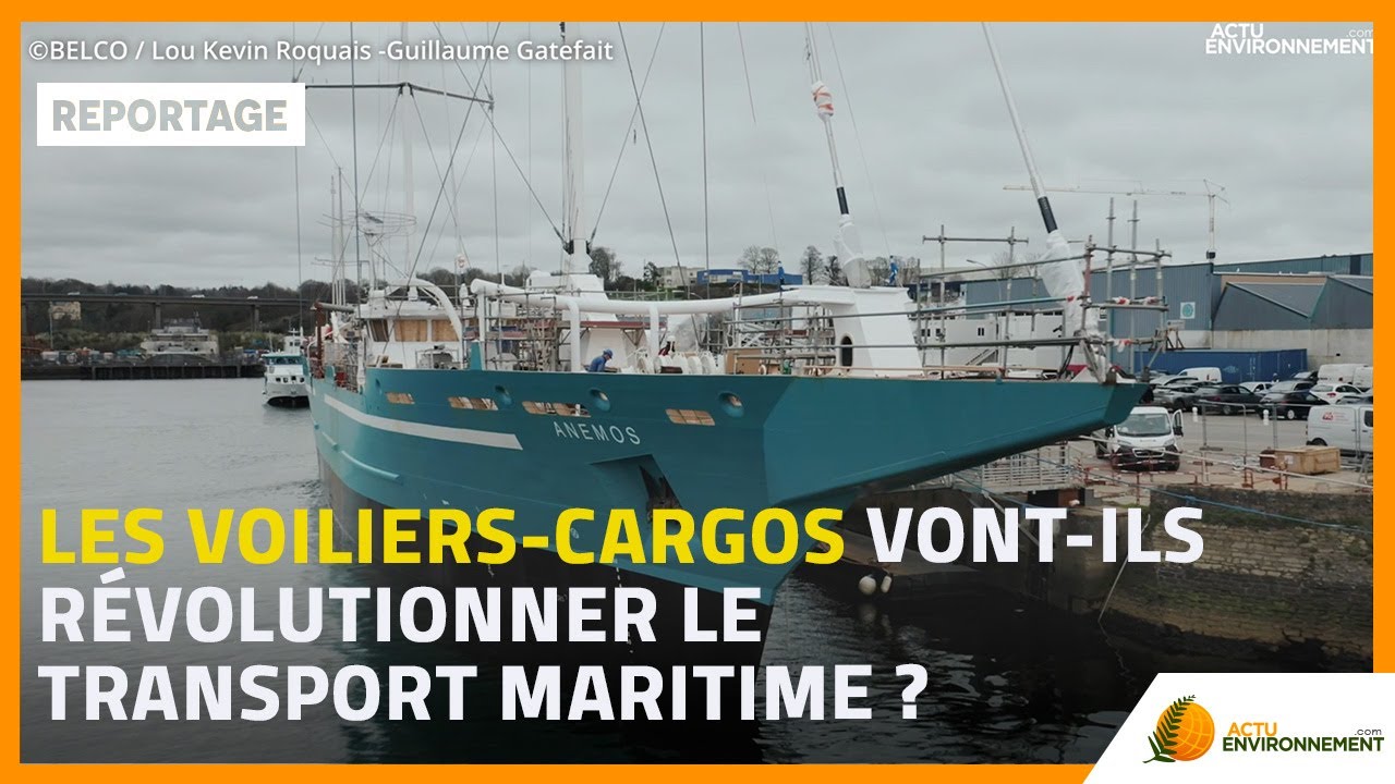 Comment les voiliers-cargos peuvent révolutionner le transport maritime ...