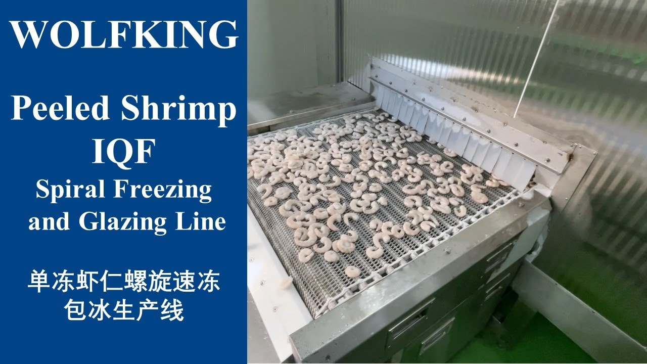 Peeled shrimp IQF spiral freezing ang glazing production line with big ...
