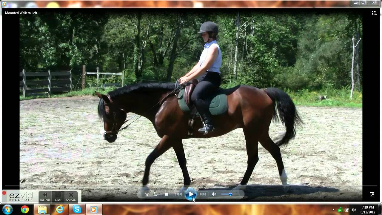 jesse fancy ap QH gelding - YouTube