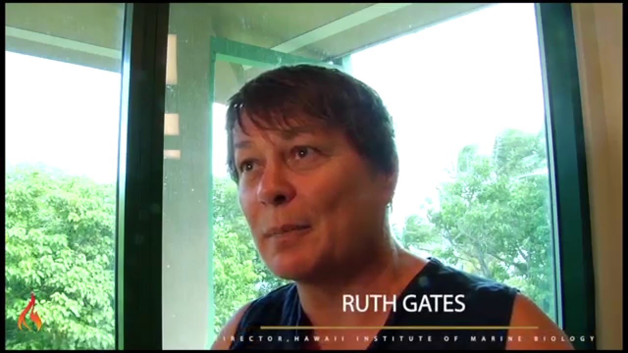 PART 1 - O'AHU'S REEF: INDISPENSABLE - YouTube