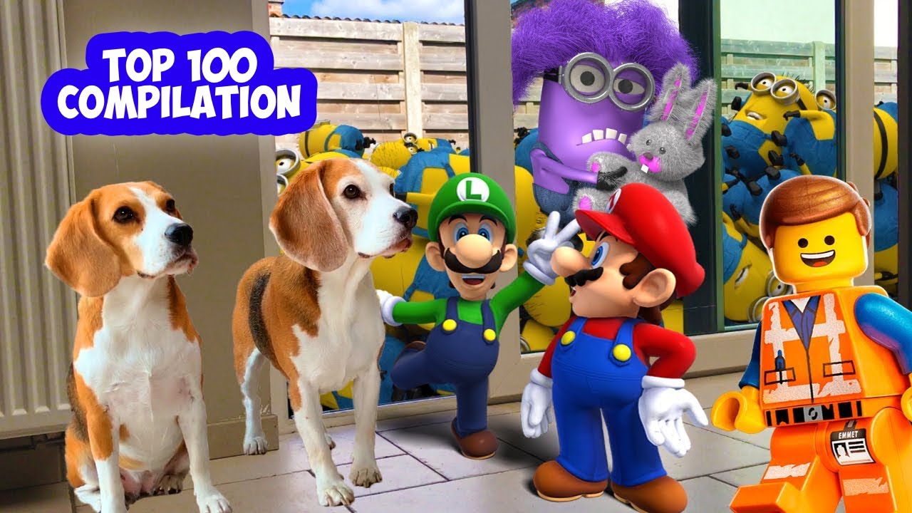 TOP 100 ANIMATION IN REAL LIFE COMPILATION Ep4 - YouTube