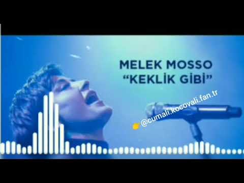 Keklik gibi kanadımı kırdılar