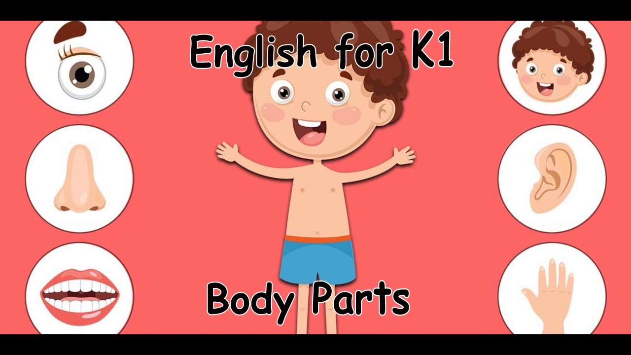 English for K1 - Body Parts - YouTube