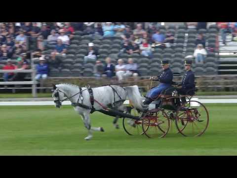 PIRHOFER Rudolf, AUT, CH M A1, Kronenberg, Dressage  31 08 2018