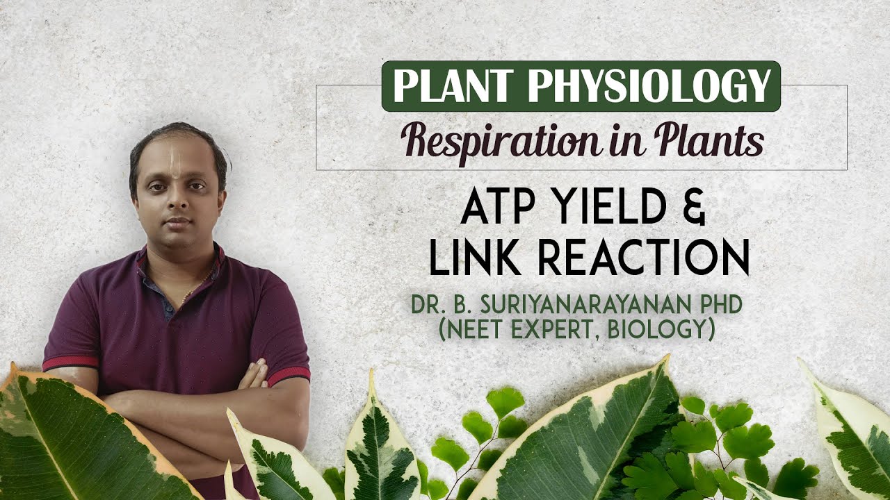 A detailed discussion on Link Reaction and ATP yield!!! - YouTube
