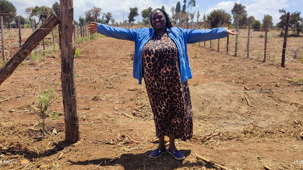 Buying a plot in Kajiado Loitokitok prices are not bad compared to ...