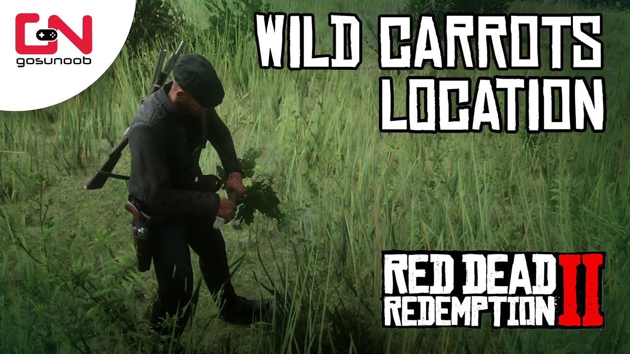 Red Dead Online - Wild Carrots Location - 5 Wild Carrots Picked - Daily ...
