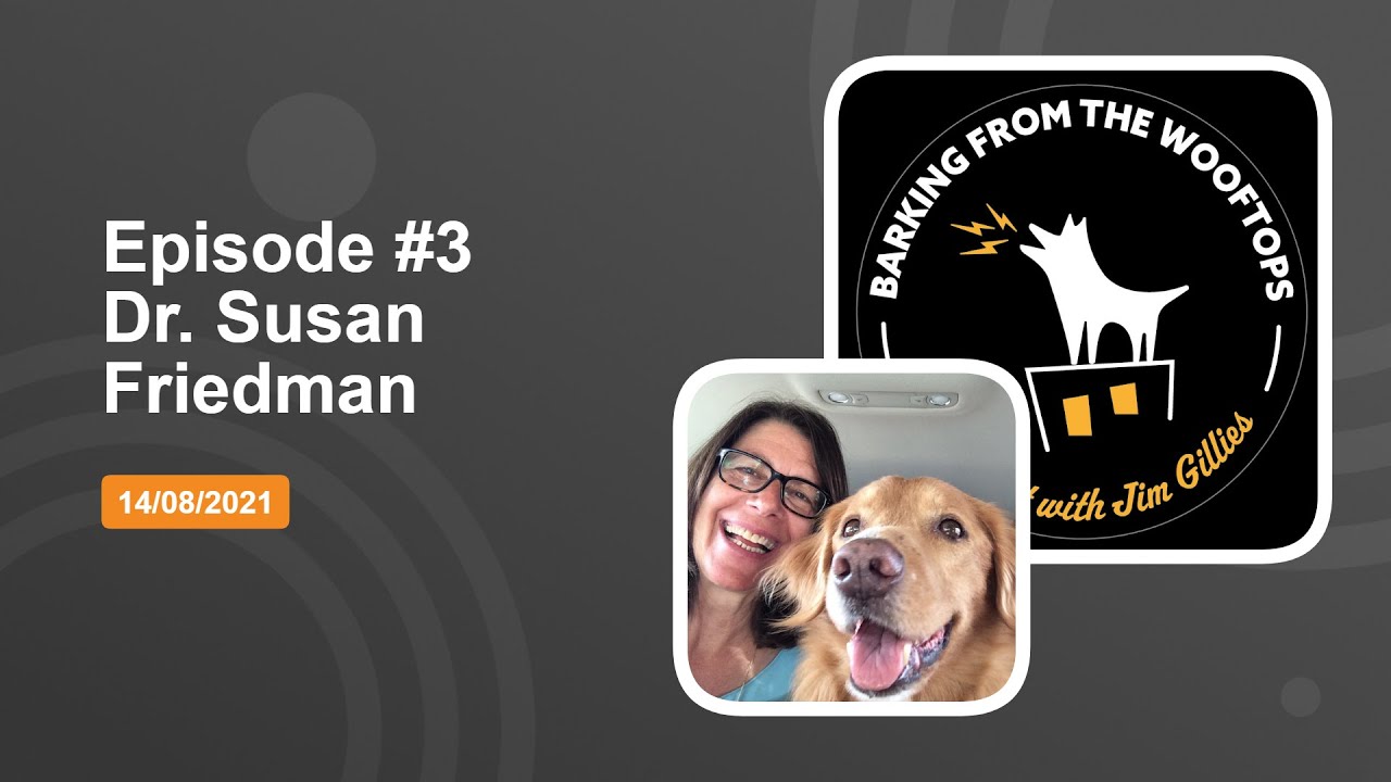 Episode #2 - Dr. Susan Friedman Applied Behaviour Analysis expert - YouTube