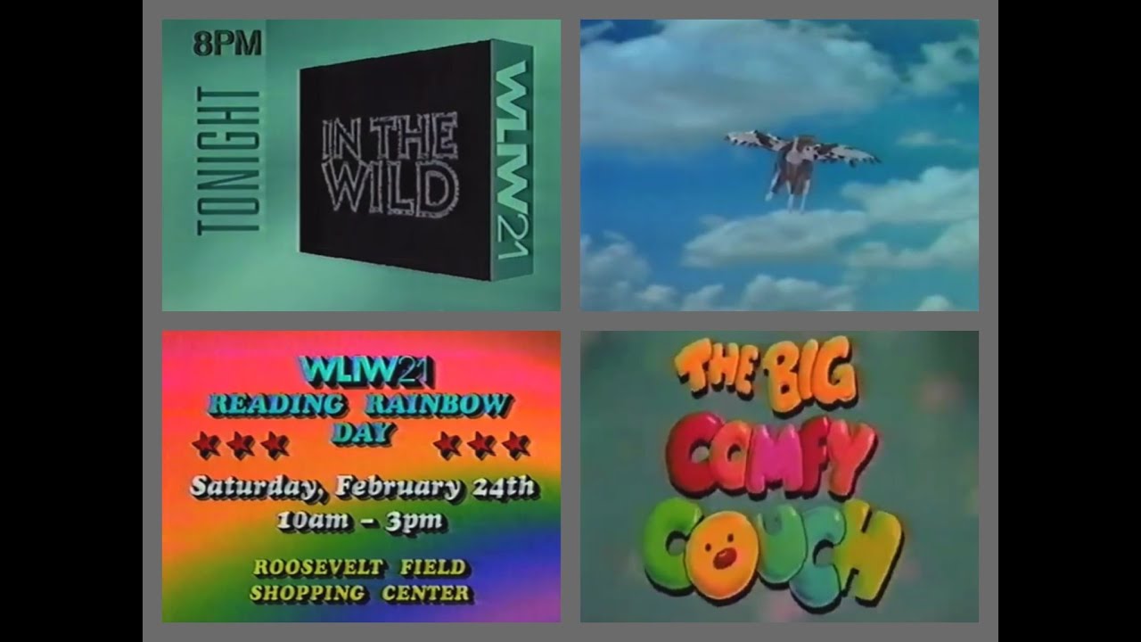 PTV Park Program Break (1996 WLIW) #4 - YouTube