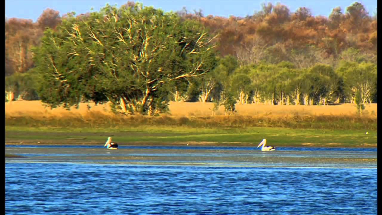 The hand back of Roebuck Plains Station to the Yawuru making news on ...