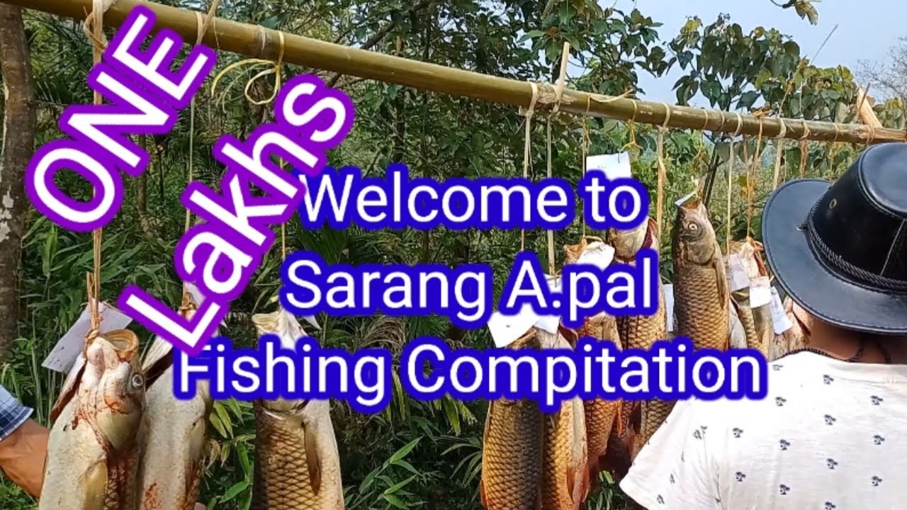 Sarang A.pal Fishing Compitation Vlog Video - YouTube