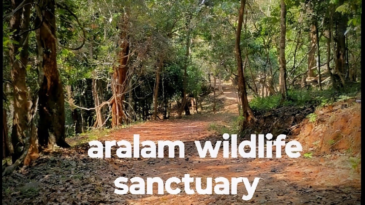 aralam wild life anctuary | trekking | kannur | forest | forest safari ...
