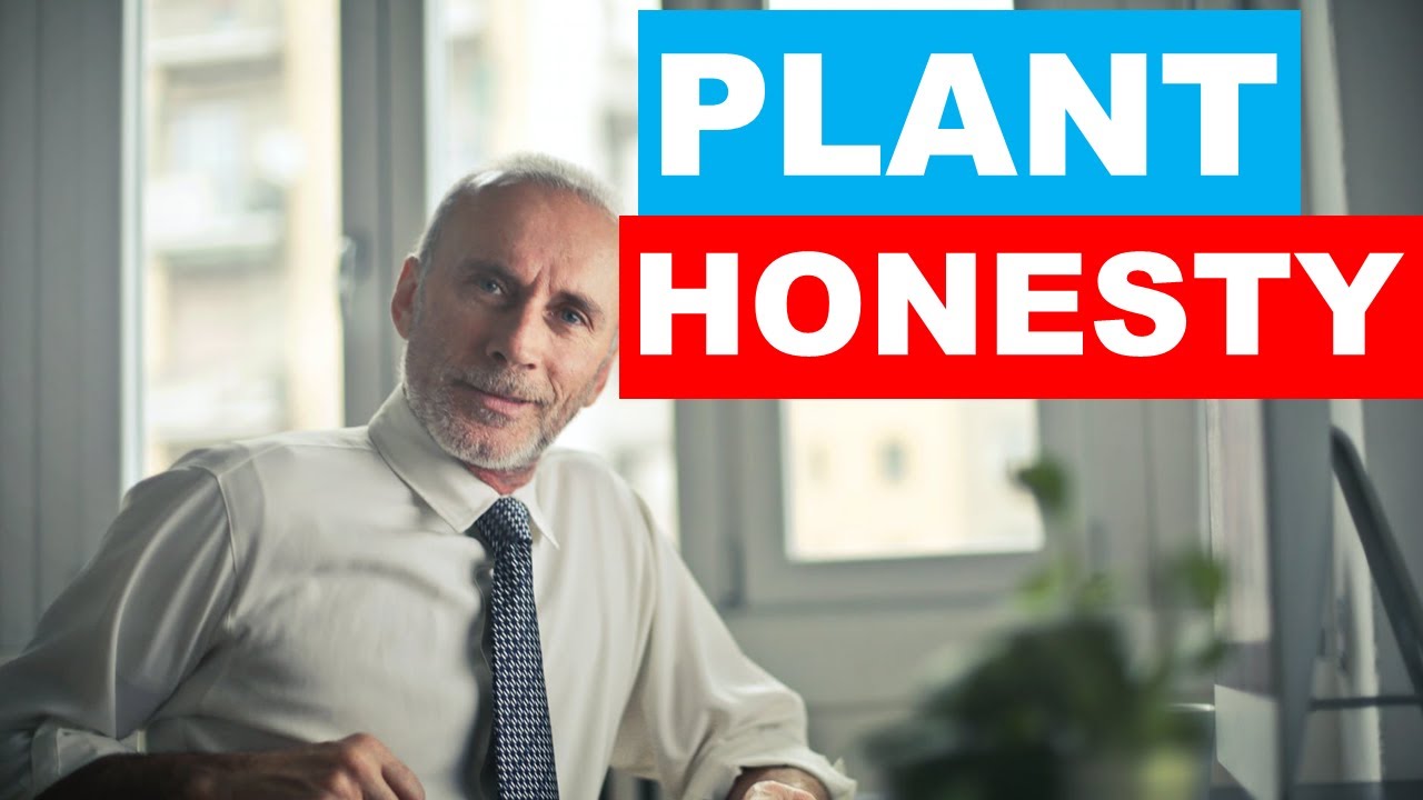 If you plant honesty, you will reap trust | SHORT MORAL STORY - YouTube