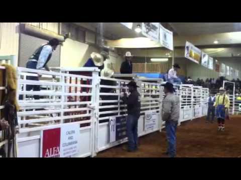 My baby bull riding - YouTube