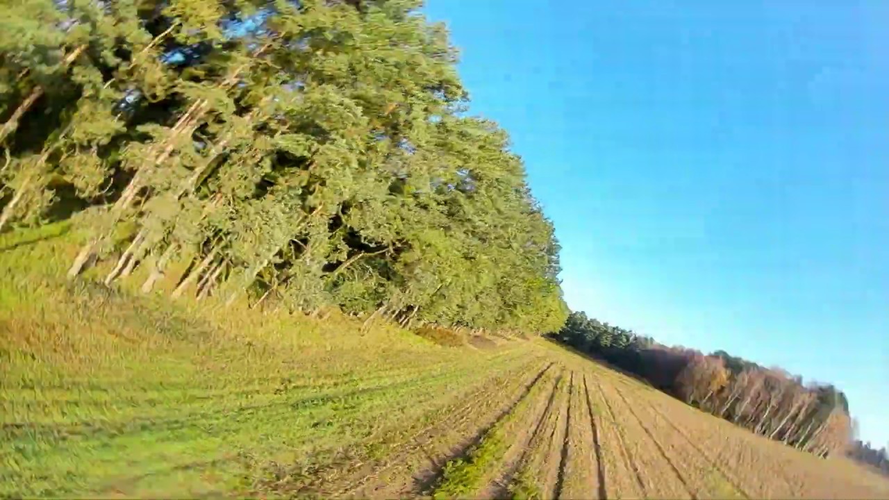 TransTec Beetle Hom / Flight test / FPV freestyle - YouTube