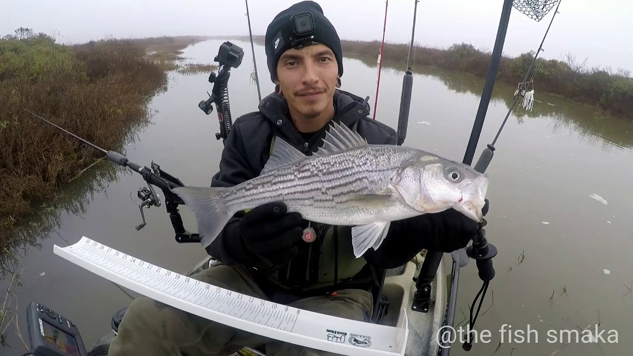 Trolling for striper | Petaluma river - YouTube