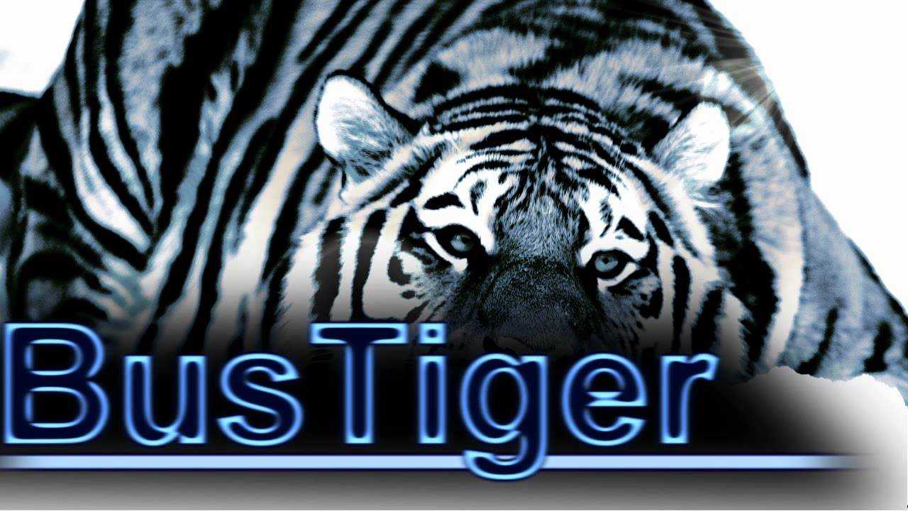 BusTiger - Fritz The Techno Dog - YouTube