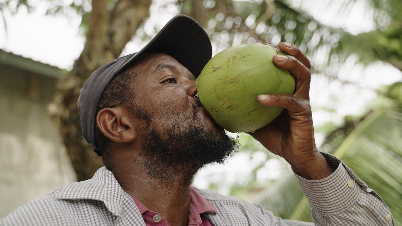 Finca Calderas: Coconut Oil Made in Honduras - YouTube