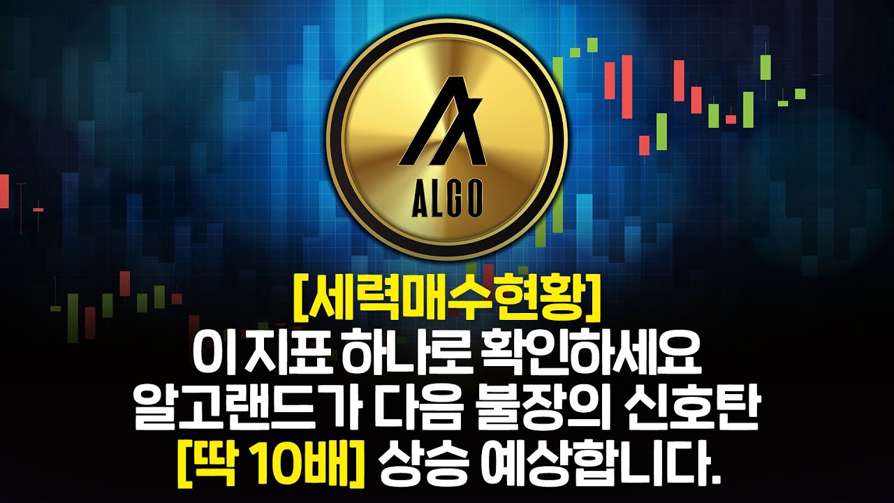 개미가 사는 종목 제발 그만사세요 알고랜드 알고랜드대응 알고랜드코인전망 Youtube