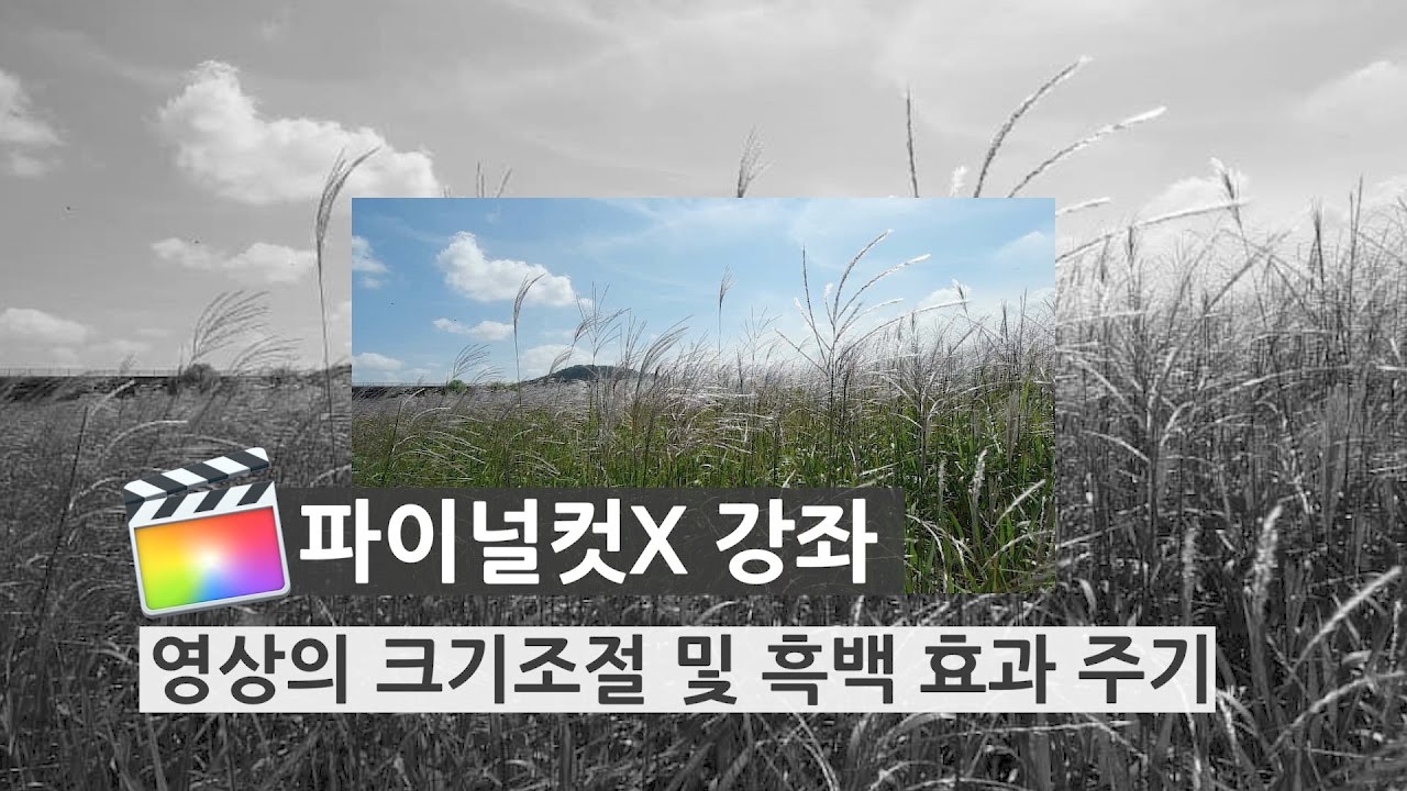 파이널컷 프로 X 영상크기 조절 및 흑백효과주기 Youtube