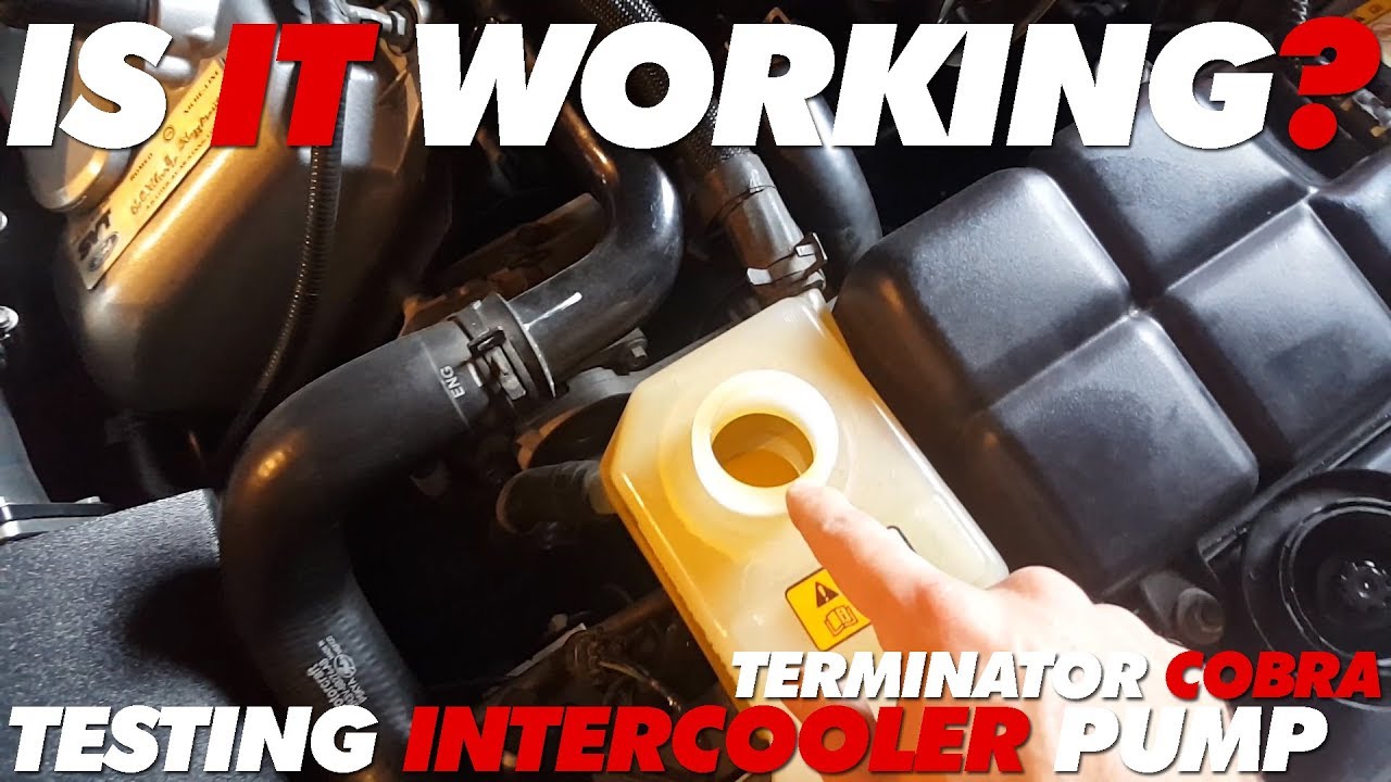 034 motorsports How to Check Intercooler Pump Terminator Cobra - games free