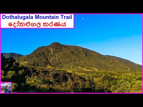 Dothalugala Mountain Trail | දෝතළුගල තරණය, Deanston, Hunnasgiriya (2019 ...