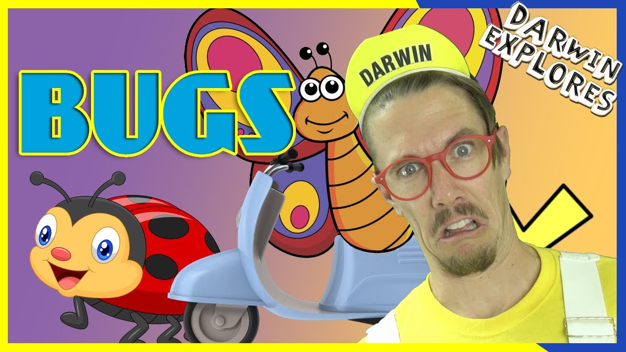 Kids Bug Videos 🐛 - Darwin Explores 🦋🐞 Insects for Kids Learning - YouTube