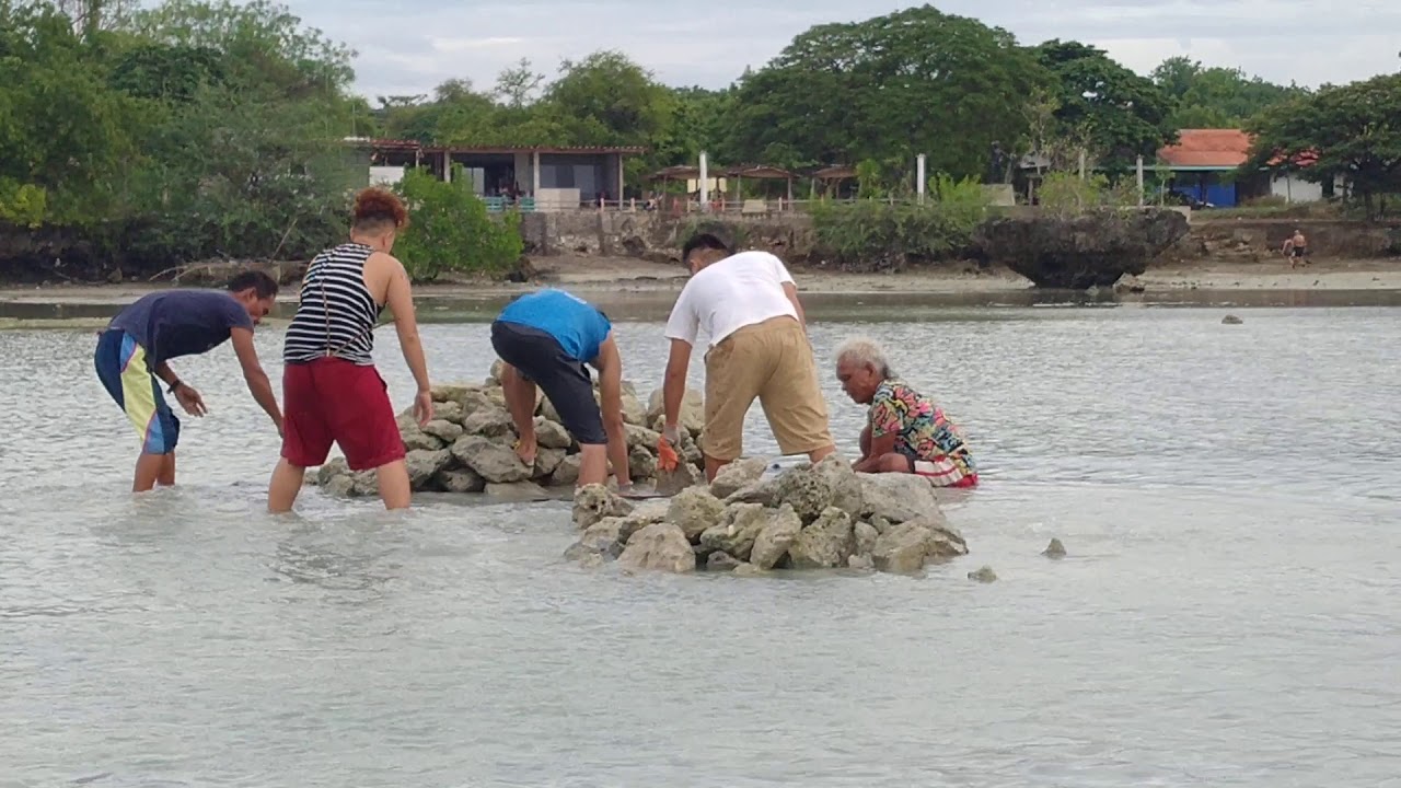 Buhay sa dagat - YouTube