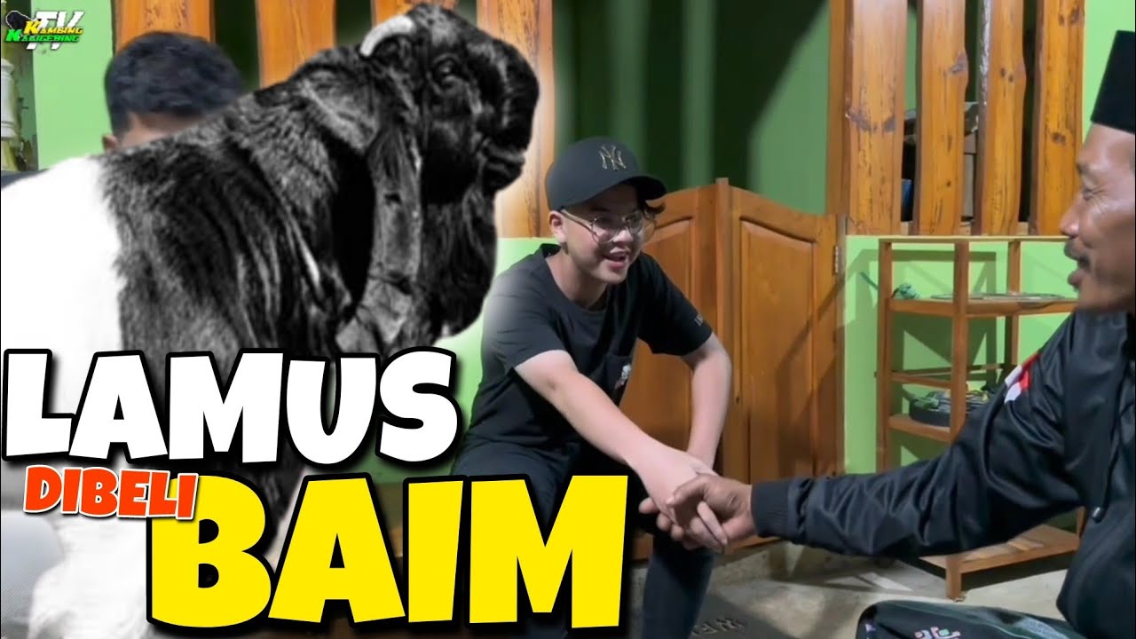 BAIM CILIK BELI MONSTER LAGI...!? - YouTube
