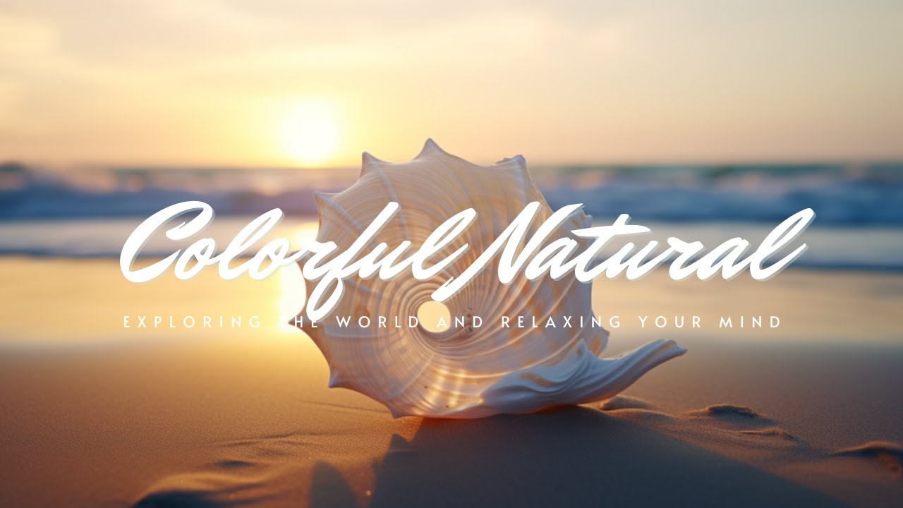 Soothing Sounds of Shells: Peaceful Music for Relaxation and ...