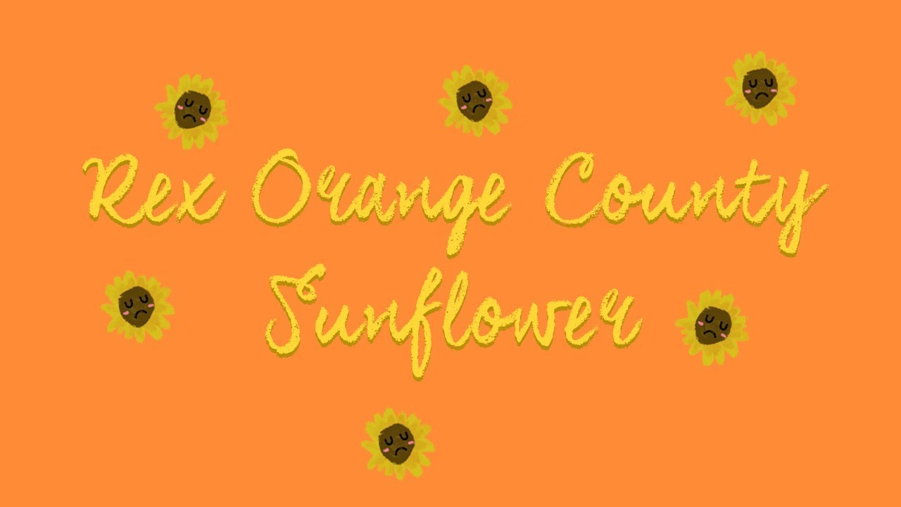 Rex Orange County — Sunflower (Lyrics) - YouTube