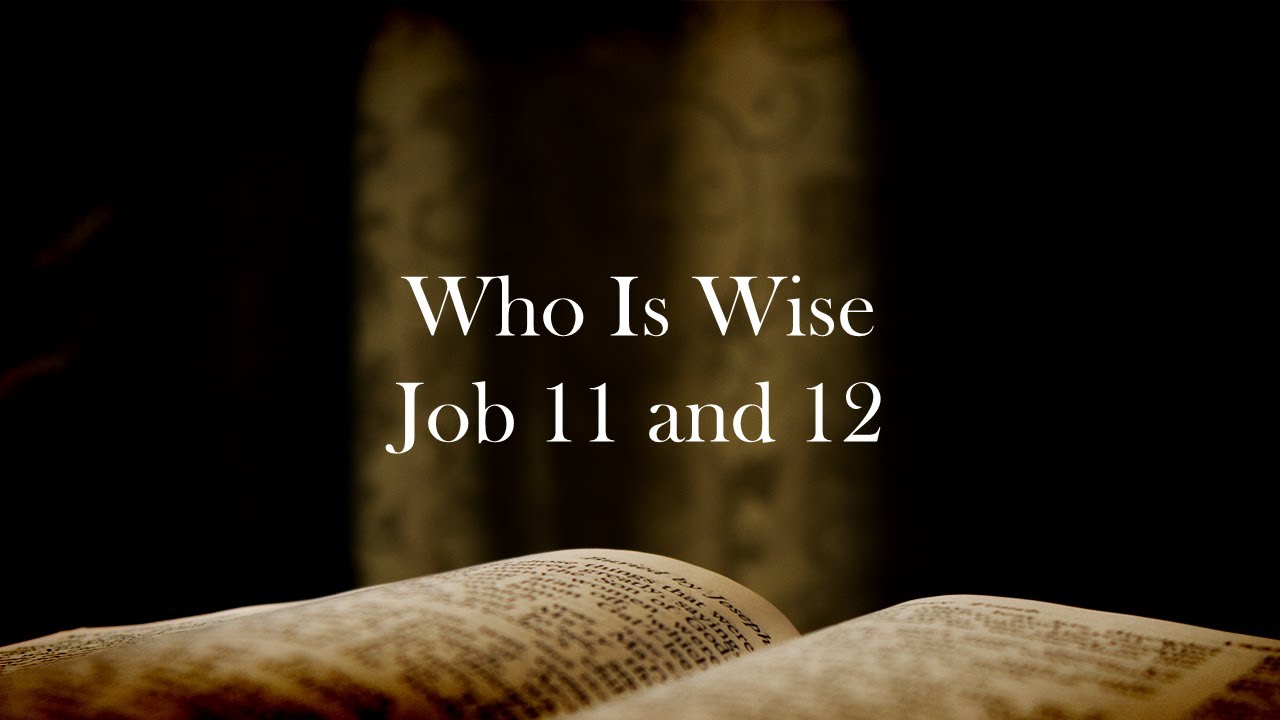 Who Is Wise - YouTube