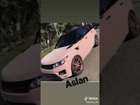 Masin larin burculeri