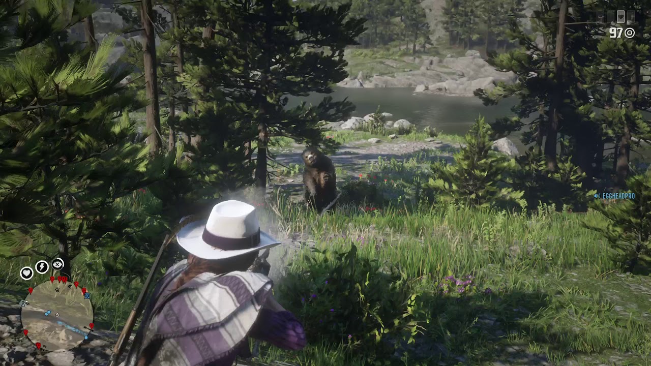Red Dead Redemption 2 Bear! - YouTube