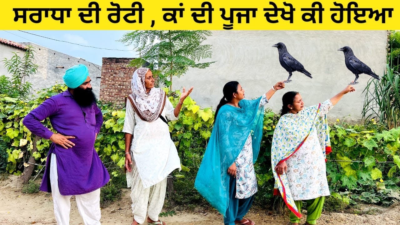 ਸਰਾਧਾ ਦੀ ਰੋਟੀ , ਕਾਂ ਦੀ ਪੂਜਾ ਦੇਖੋ ਕੀ ਹੋਇਆ crow di Pooja punjabi short ...