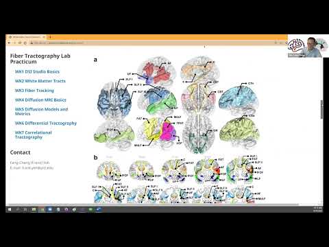 DSI Studio Workshop (Sep 16 2022) Wk2: White Matter Tracts - YouTube
