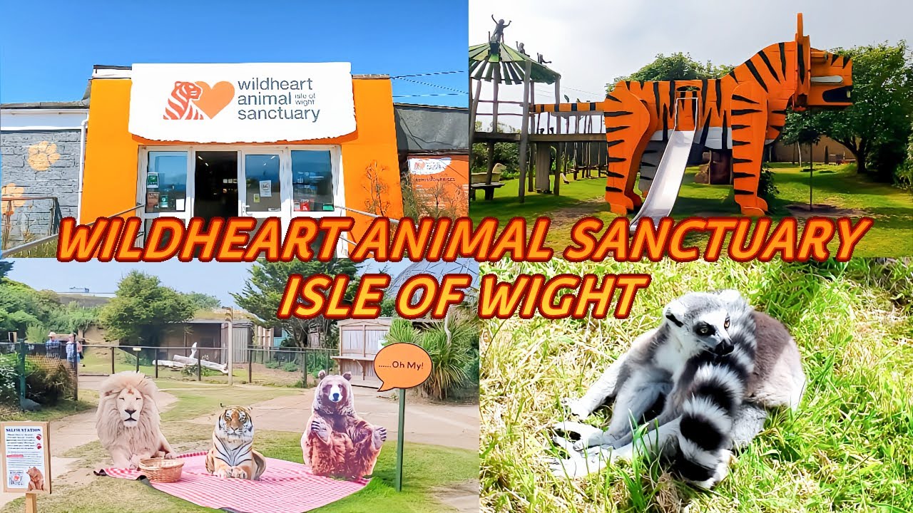 WILDHEART ANIMAL SANCTUARY ISLE OF WIGHT - YouTube