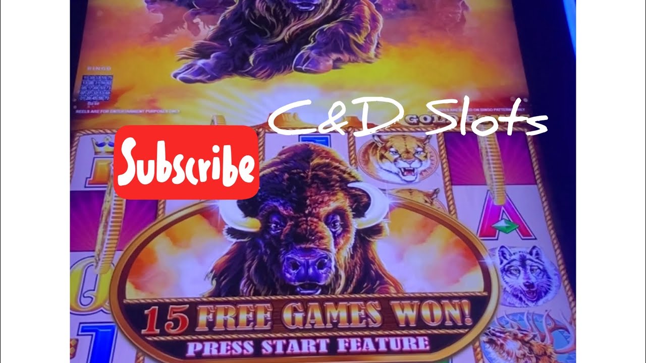 BUFFALO GRAND 🦬 at KICKAPOO LUCKY EAGLE CASINO - YouTube